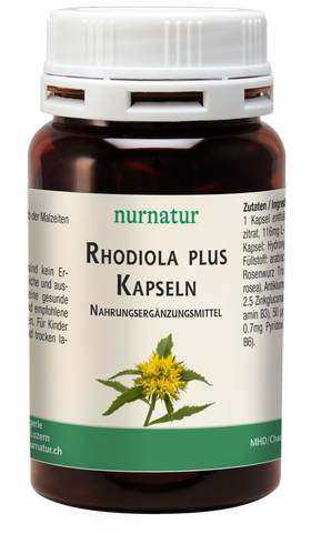 Moringa Bio Kapseln - Dose à 100 Kapseln